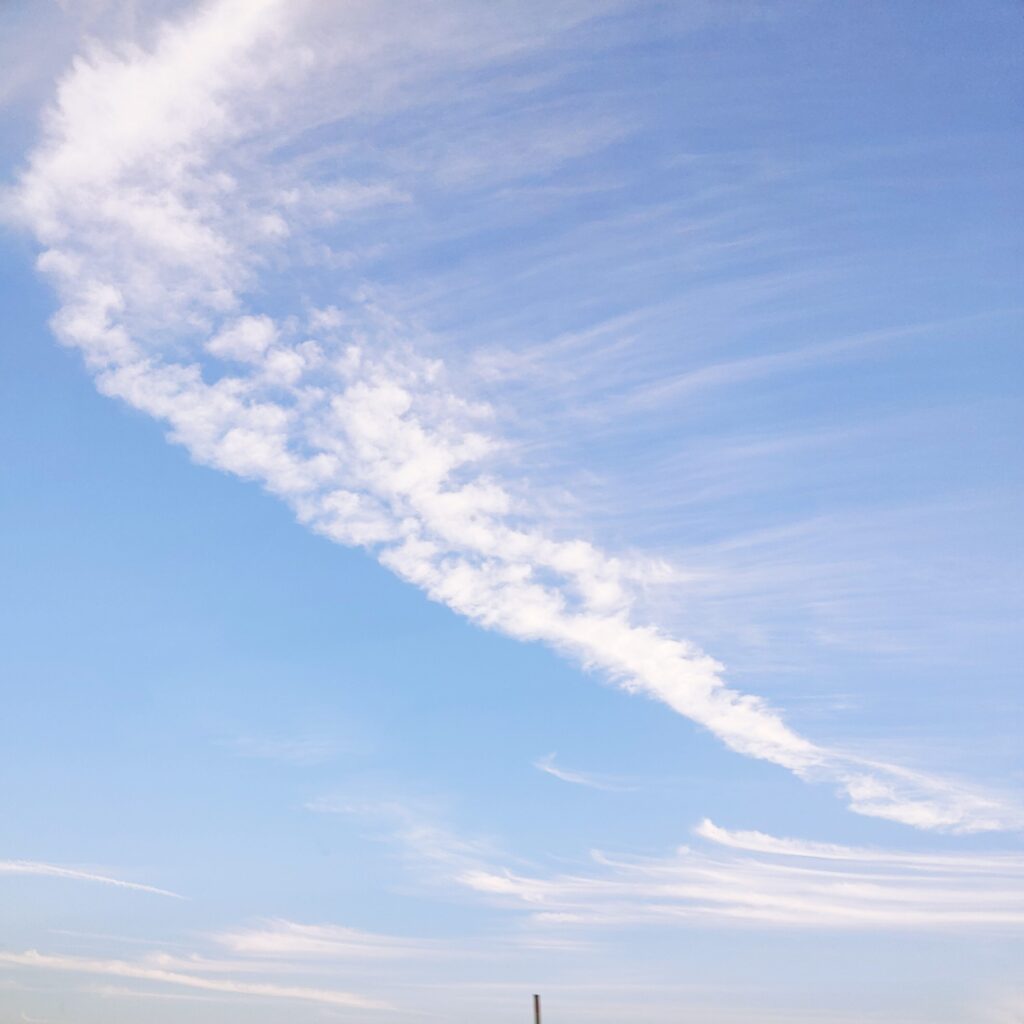 私の左側の存在が、目に見える形で会いに来てくれた | Nagitomuu